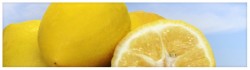 Citrus Lemonicious | Touch of Class Plants