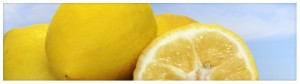 Citrus Lemonicious | Touch of Class Plants